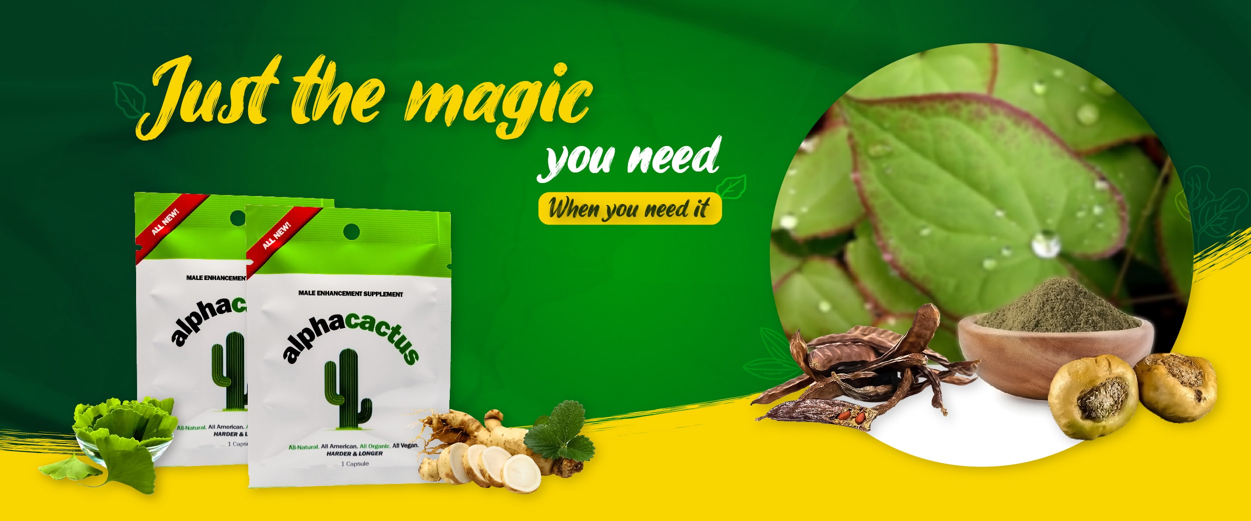 alpha cactus – Best Organic Herbs Formula - organicfuel.us