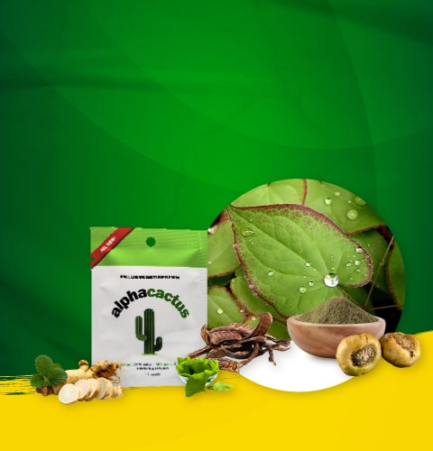 alpha cactus - Best Organic Herbs Formula | organicfuel.us